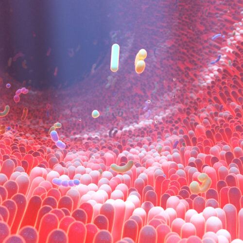 Microbiome Therapeutics - Biose Industrie